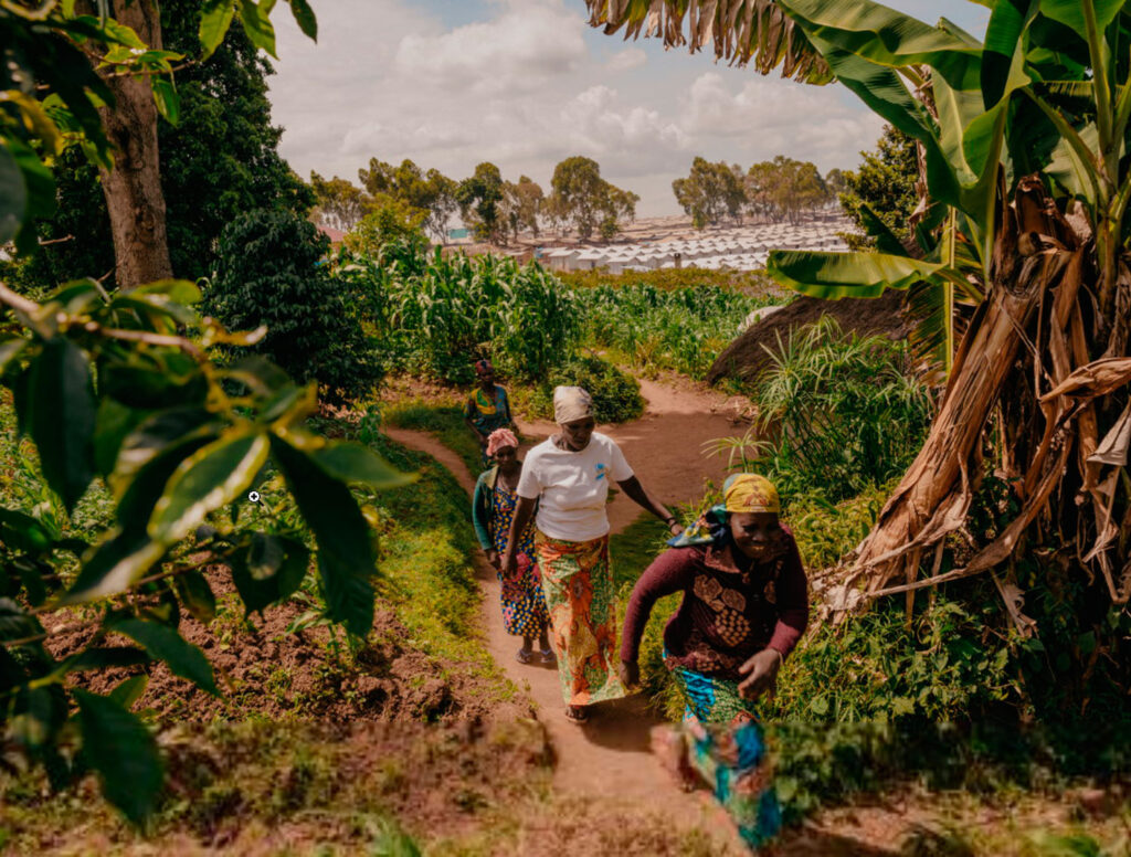 Creacion Hibrida | SONY WORLD PHOTOGRAPHY AWARDS: ANUNCIÓ LOS GANADORES ...
