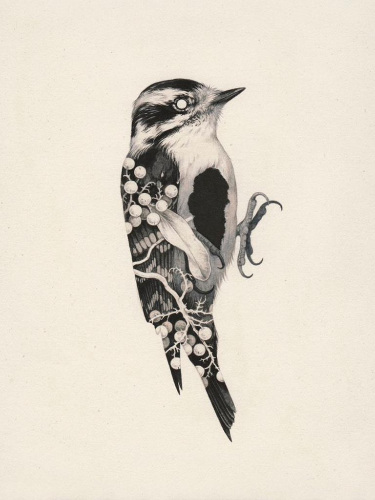 Creacion Hibrida | ILUSTRADORES MÁS DESTACADOS DE LA ÚLTIMA DECADA